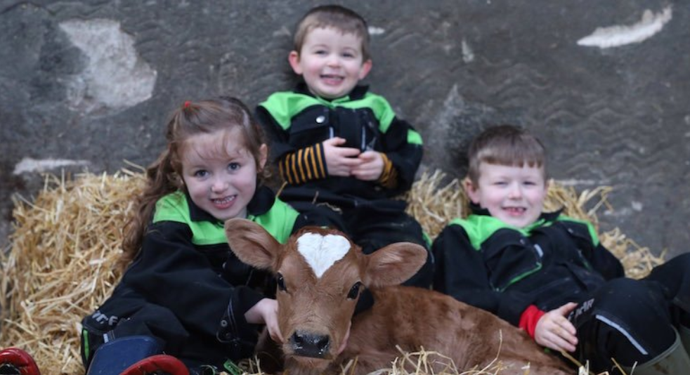 Das Kalb wurde am 14. Februar mit einem Fleck in Form eines perfekten ...