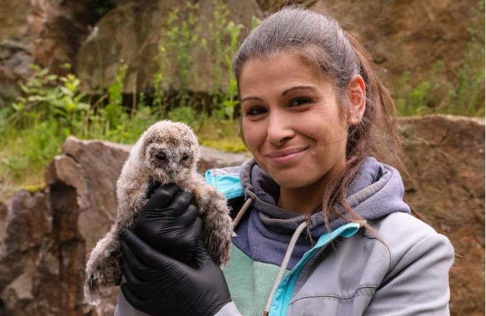 Im Dresdner Naturpark gibt es Nachwuchs: wie ein kleiner Racker vom ...