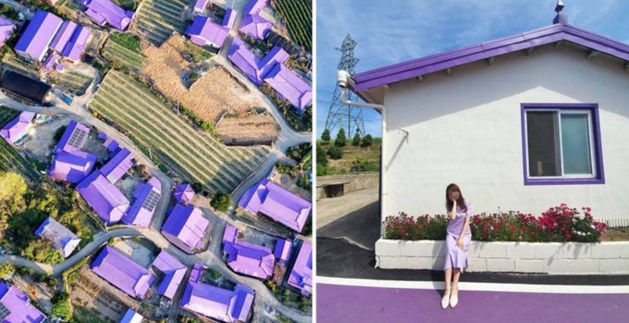 Die Lila-Insel: in Südkorea gibt es jetzt eine neue Sehenswürdigkeit ...