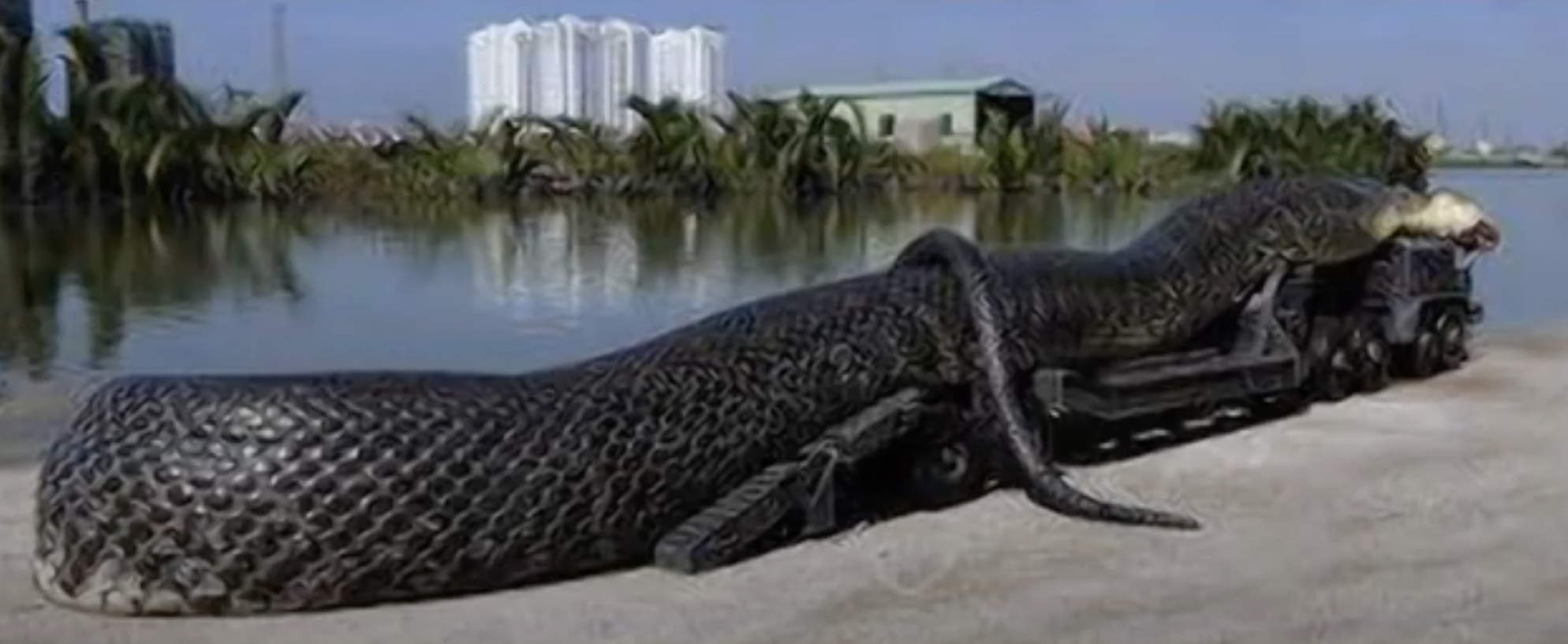 30 Meter lang und eine Tonne schwer: Wie die mit 103 Jahren älteste ...