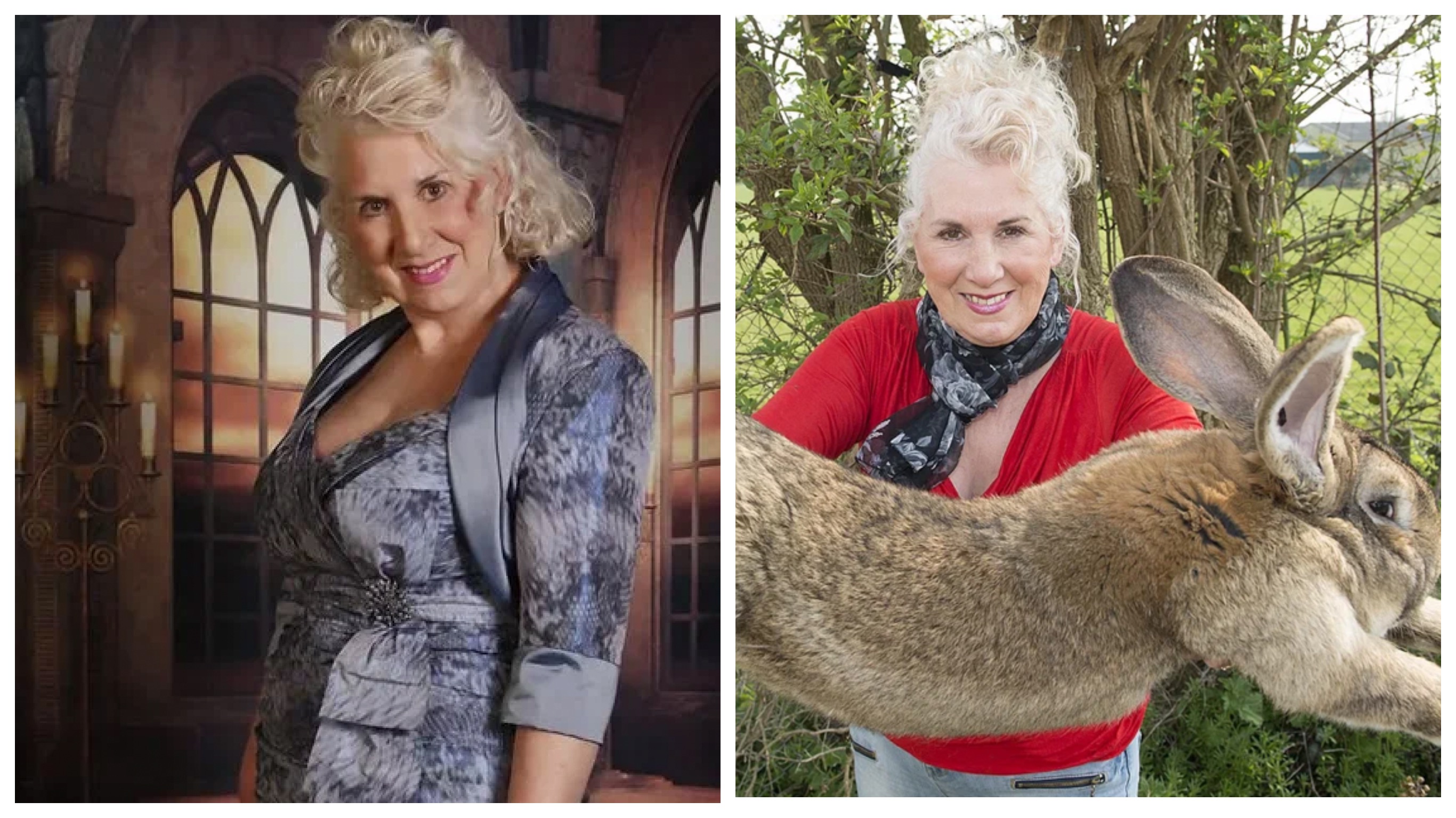 "Ich will wie Jessica Rabbit sein": Frau gibt Hunderte von Dollar aus ...