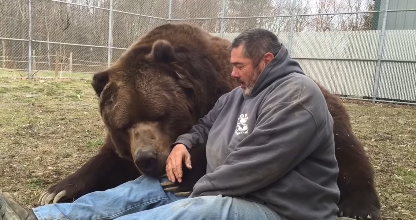 "Er hat ein gutes Herz": Ein Mann freundet sich mit einem Bären an und ...